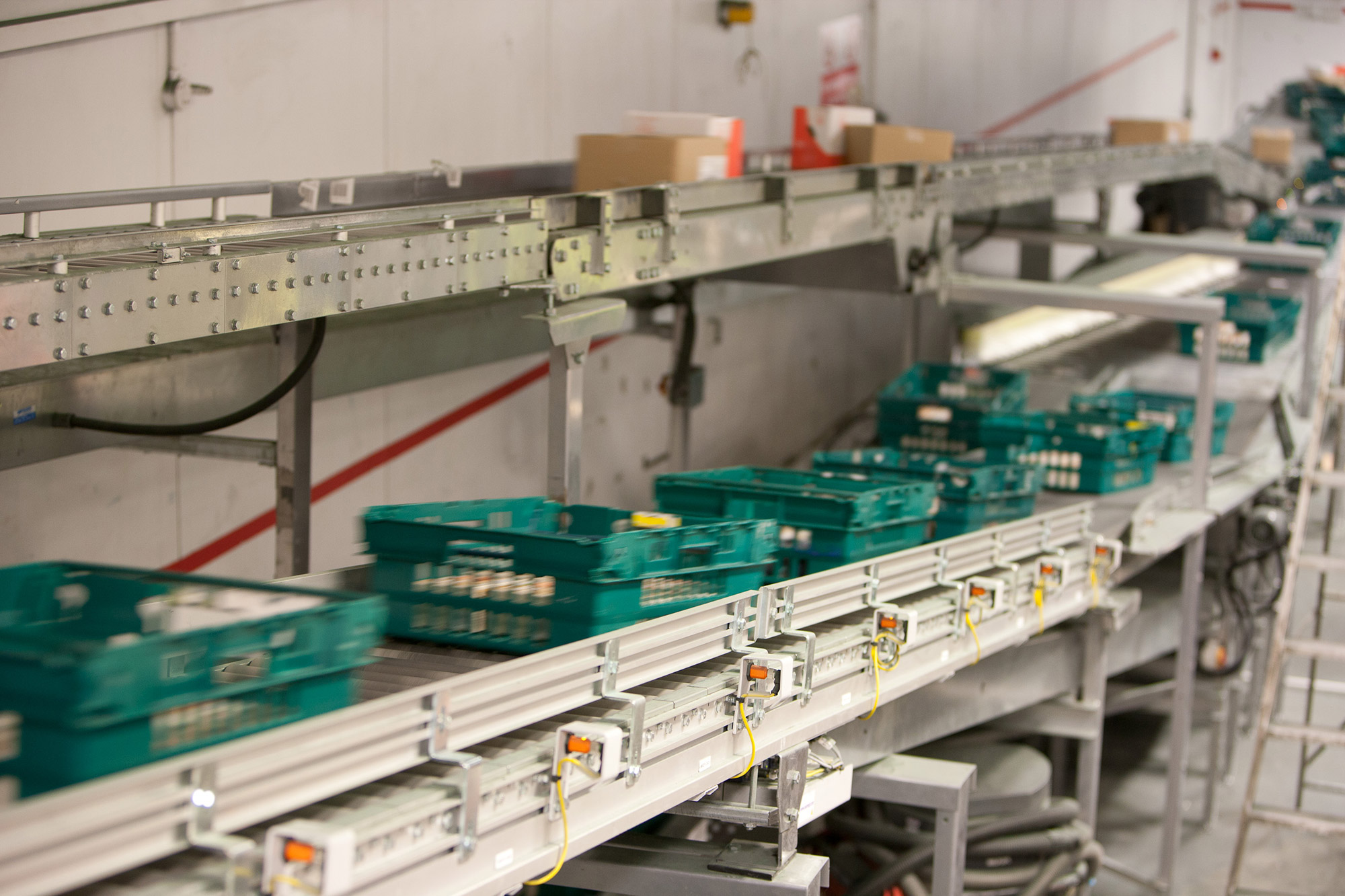 Axiom’s recipe conveys success for Tamar Foods